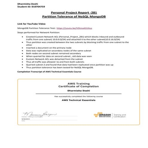 Personal Project Report | PDF