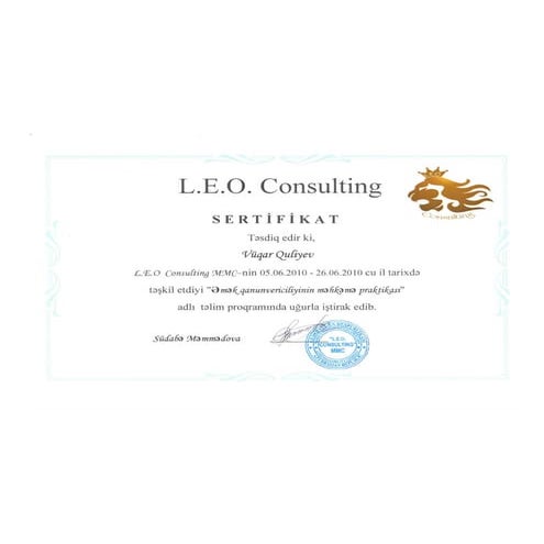 LEO consulting | PDF
