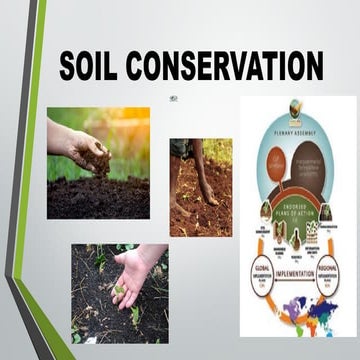 580457169-SOIL-CONSERVATION in the Phil.-ppt.pptx