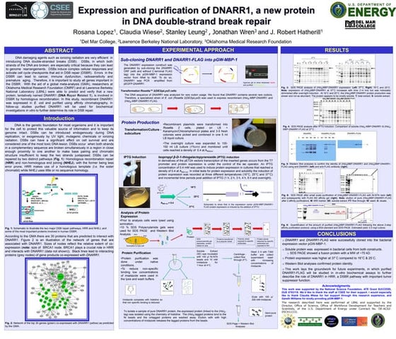 Molecular Biology Lab Poster | PDF