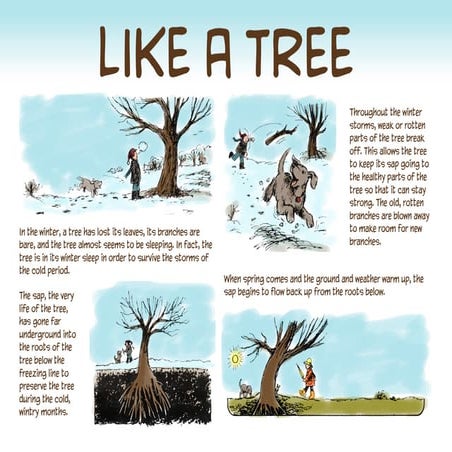 Like a Tree | PPT