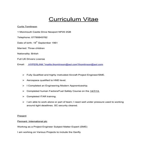 Mejuhas CV 2015 EN | PDF