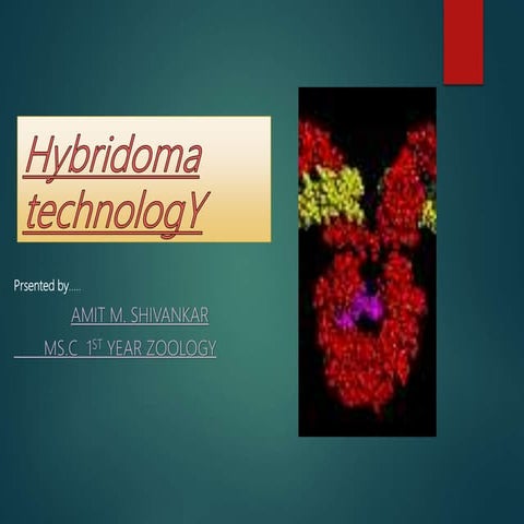 Hybridoma Technology | PPTX