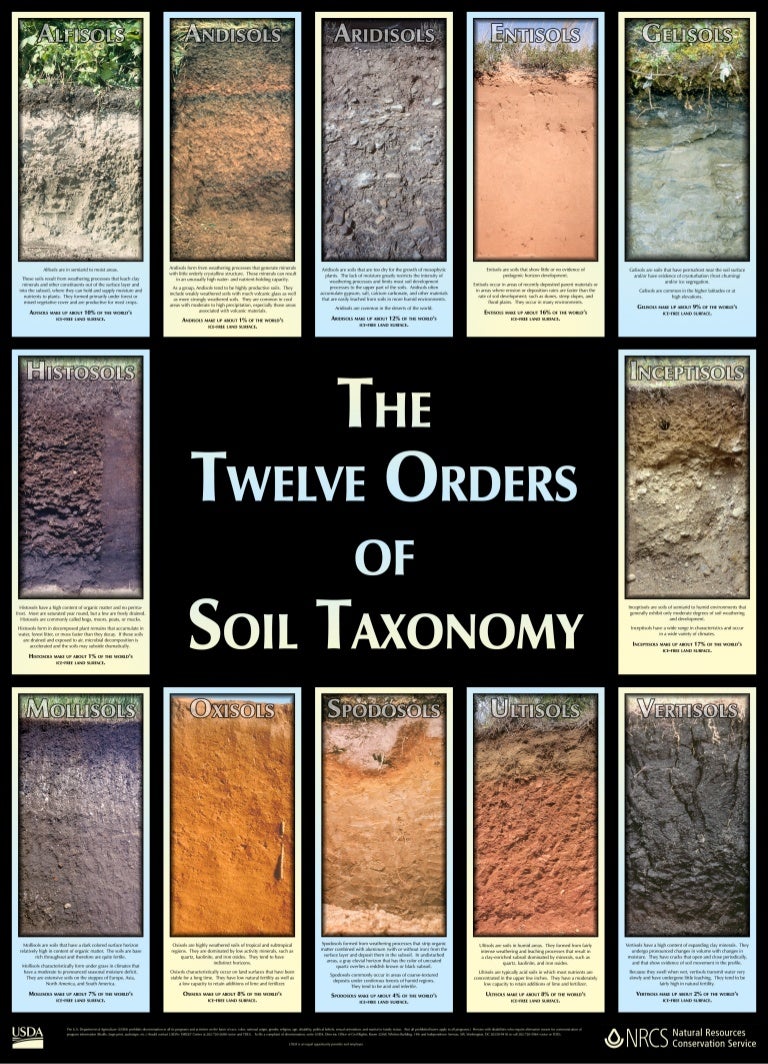 THE TWELVE SOILS ORDERS U S D A the-twelve-soils-orders-u-s-d-a