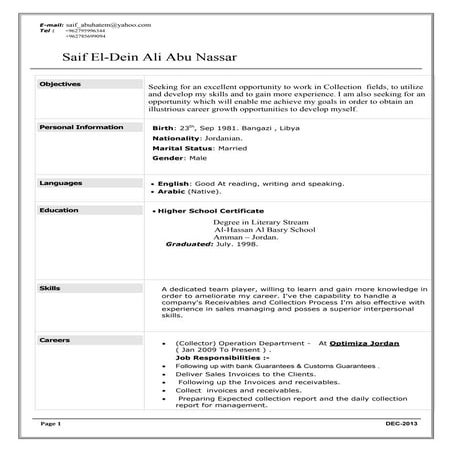 Saif's Abu Nassar Resume | PDF