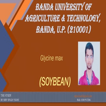 Soyabean | PPTX