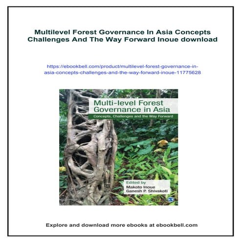 Multilevel Forest Governance In Asia Concepts Challenges And The Way ...