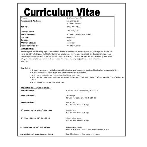 Ibbe CV | DOCX
