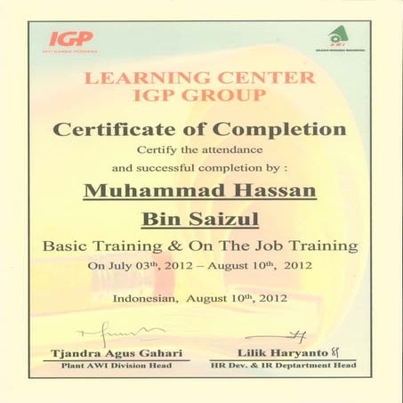 IGP basic Training | PDF