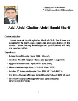 SAMEH ELNAGGAR C.V. | PDF