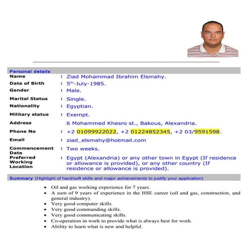 Ziad Mohammad Elsmahy (HSE).DOCX