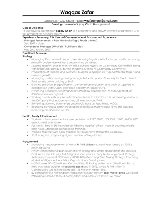 cv for mm | PDF