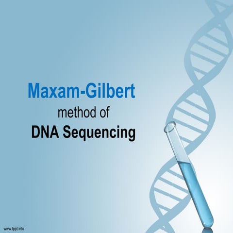 Maxam-Gilbert method of DNA sequencing | PPT
