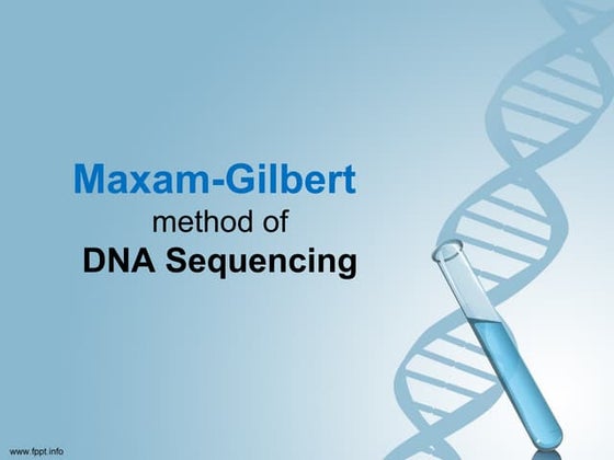 Maxam–Gilbert sequencing | PPT