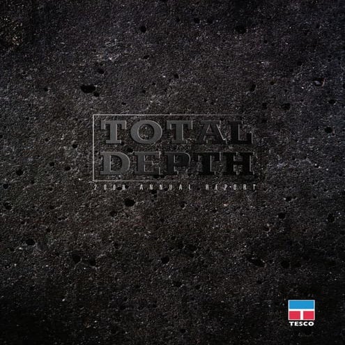 597 2008 Annual Report | PDF