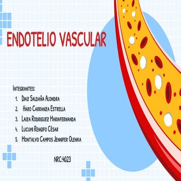 597346734-p2-Endotelio-CBNFNFNVascular.pptx