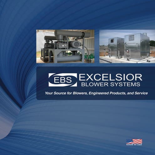 Excelsior Brochure | PDF