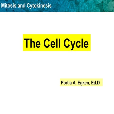 Cell cycle | PPTX