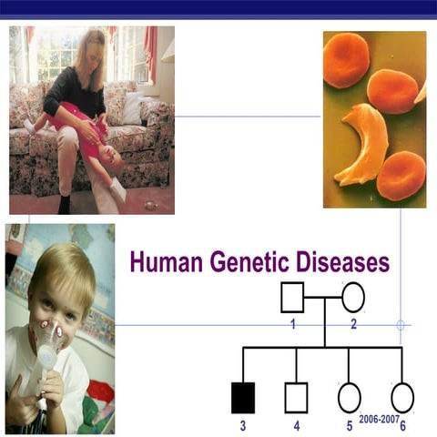59 ch14humangenetics2008 | PPT