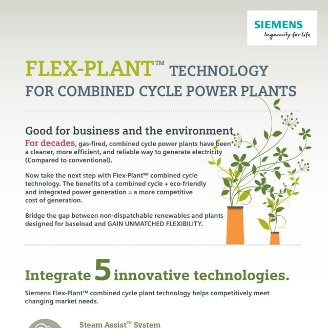 Siemens Flex Plant InfoGraphic (f) flat file | PDF