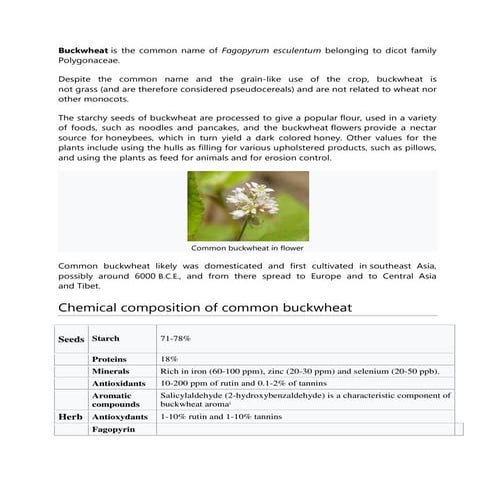 5A.Buckwheat.pdf