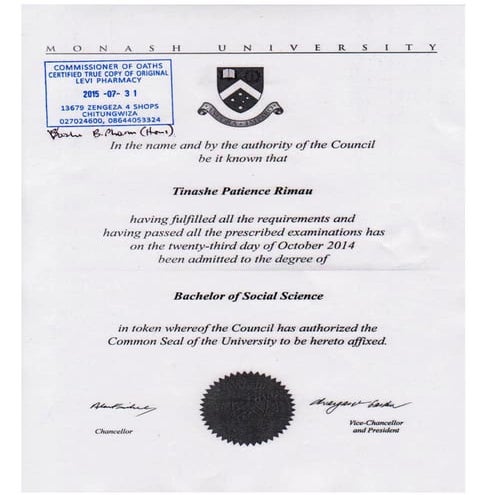 TINASHE DOC CERTIFIED | PDF