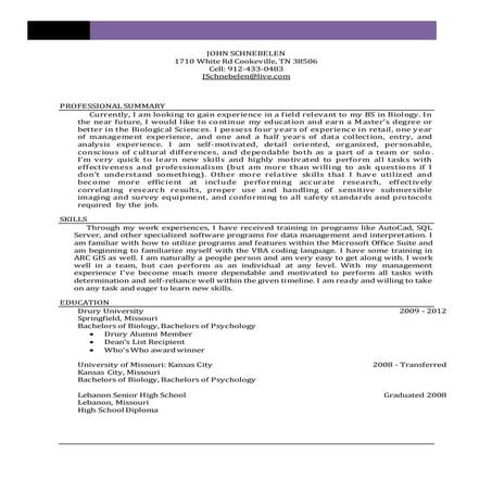JUDY KARONIKA Resume Sales-2 | PDF