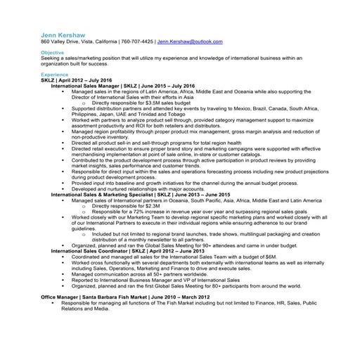 International marketing manager cv template | DOCX