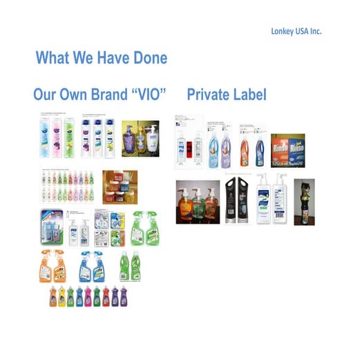 Lonkey-Proposal of Zodiac Hand Saop | PPT