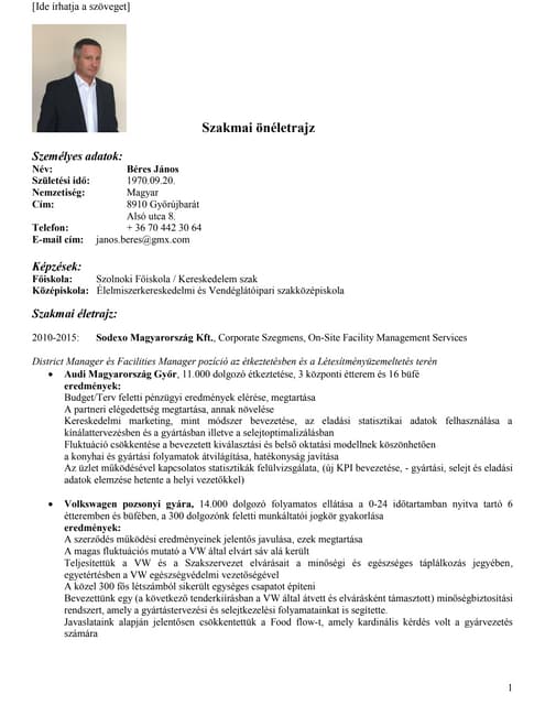 Kártyás-Péter-CV | PDF