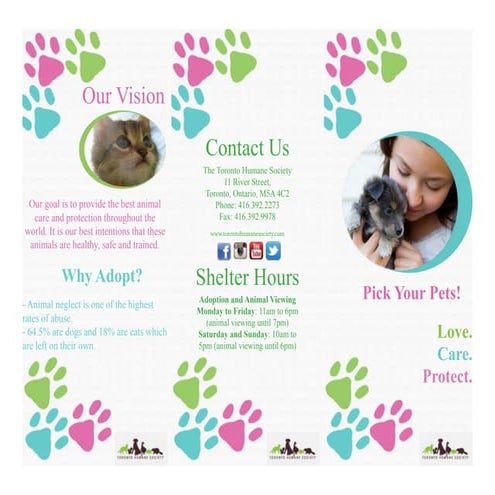 Brochure Assignment | PDF