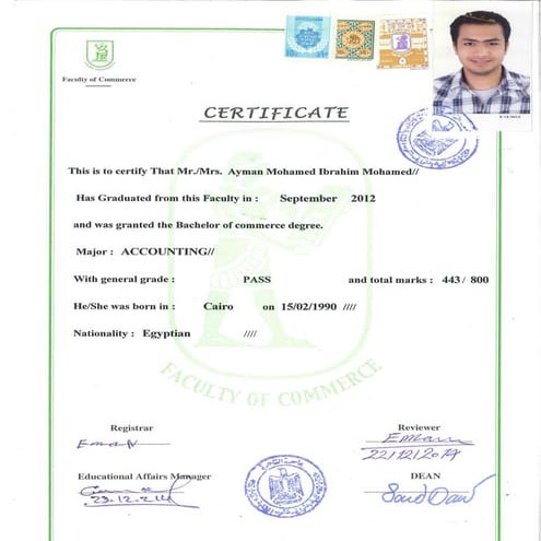 bachelor degree | PDF