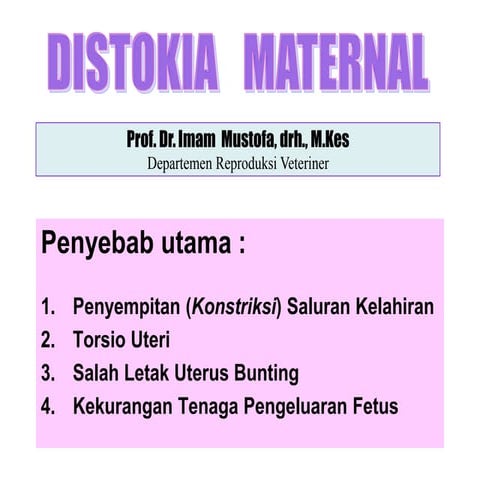 Distokia Materna in cattle dalam bahasa idn | PDF