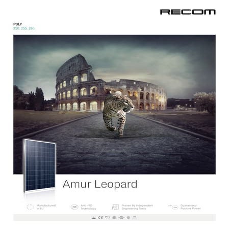 POLY_250-260_v.1.6_EU_LOW_35mm | PDF