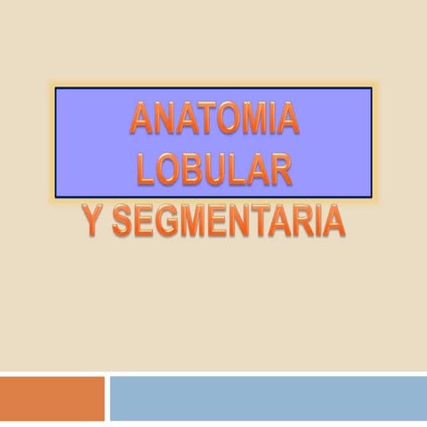 Fisiología (Lobulillo pulmonar secundario, espacio alveolar.pptx