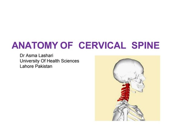 The vertebral column.pptx