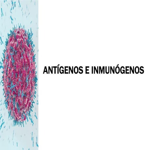 5 Antígeno e inmunogeno.pdf