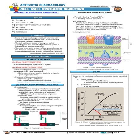 Antibiotics Pharmacology - by ninja nerd notes.pdf