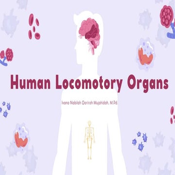 5A_SUBTHEME 123_HUMAN LOCOMOTORY ORGANS.pdf