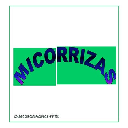 5 b 2-2-presentacion-cap-iii | PPT