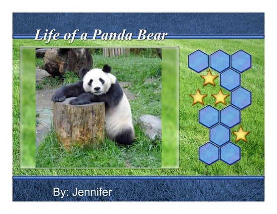 Presentation On Pandas | PPT | Large Animals | Pets