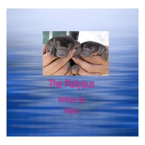 5b Platypus | PDF