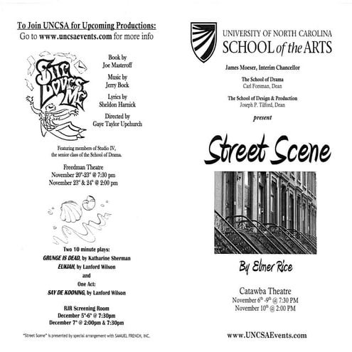 Street Scene Program | PPT