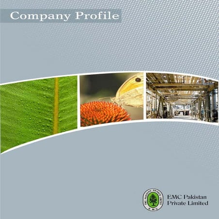 EMC PROFILE UPDATED (25-11-2015)_opt | PDF