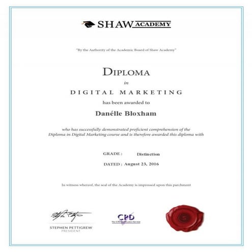 Diploma in Digital Marketing 92% | PDF