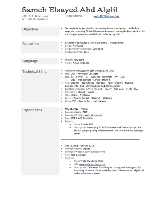 Charbel Nassar CV 2016 | DOCX