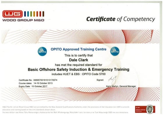 Dale Clark Med Cert | PDF