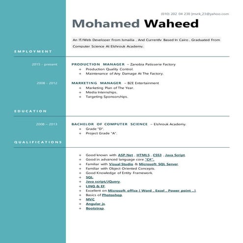 Mohamed Waheed'CV | PDF