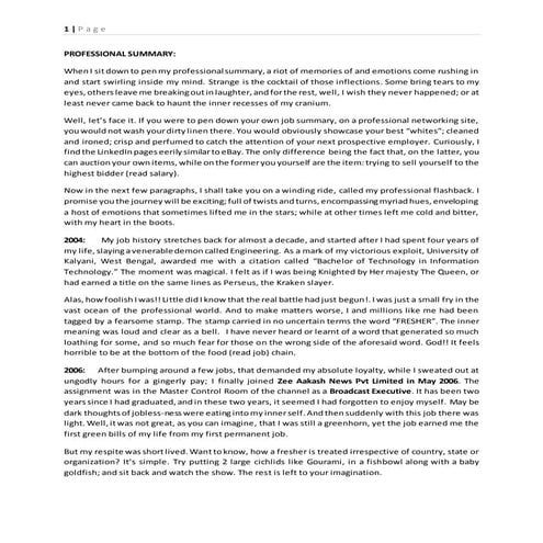 Professional Summary | PDF