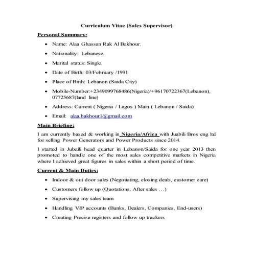 my cv lebanon27 | DOCX